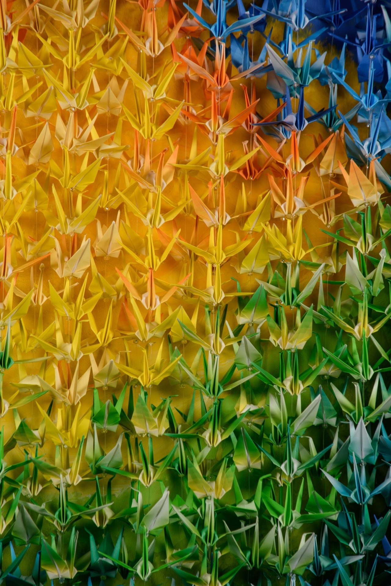Lindsay Boyer - Three Rivers Artist Guild